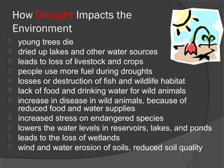 Natural disasters and their impact towards the environment | PPT