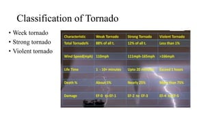 Natural Disasters & Management. about TORNADO | PDF