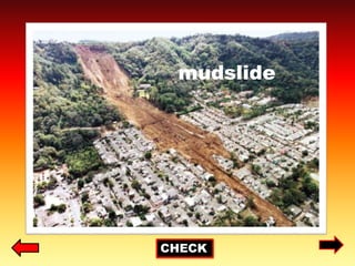 Natural disasters powerpoint | PPTX