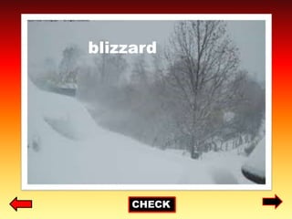 Natural disasters powerpoint | PPTX