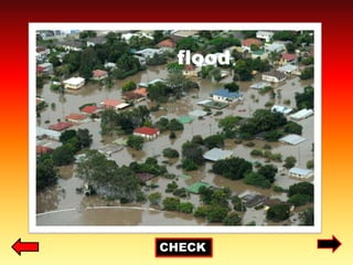 Natural disasters powerpoint | PPTX