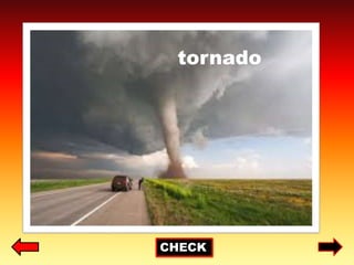Natural disasters powerpoint | PPTX
