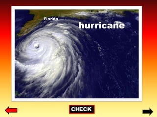 Natural disasters powerpoint | PPTX