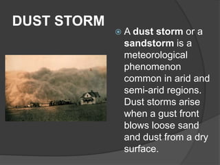 Natural disasters | PPTX