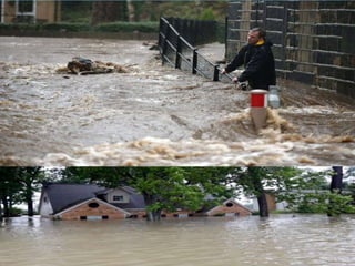 NATURAL CALAMITIES | PPTX