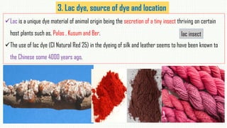 Natural dye(Madder,Cochineal,Lac and Fustic dye) | PDF | Natural and ...