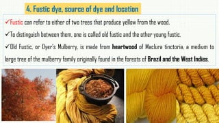 Natural dye(Madder,Cochineal,Lac and Fustic dye) | PDF | Natural and ...