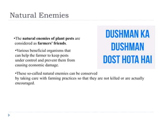 Diversity of Natural enemies | PPTX