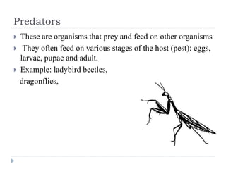Diversity of Natural enemies | PPTX