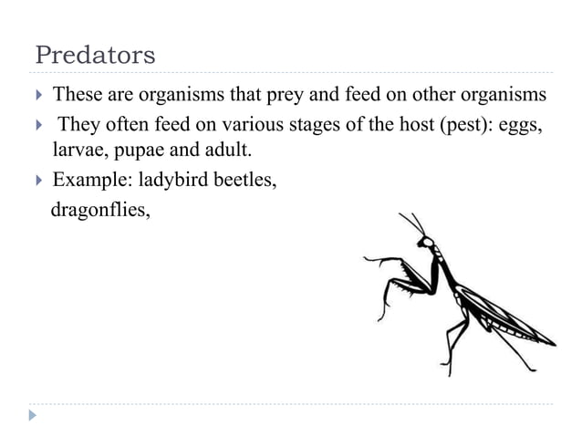 Diversity of Natural enemies | PPTX