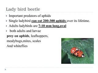 Diversity of Natural enemies | PPTX