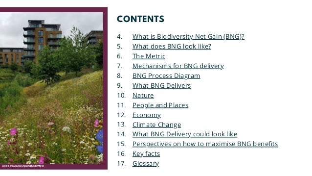 Natural England Biodiversity Net Gain Brochure | PDF