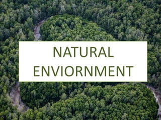 NATURAL ENVIORNMENT.pptx