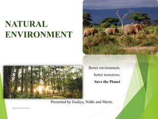 NATURAL ENVIRONMENT.pptx