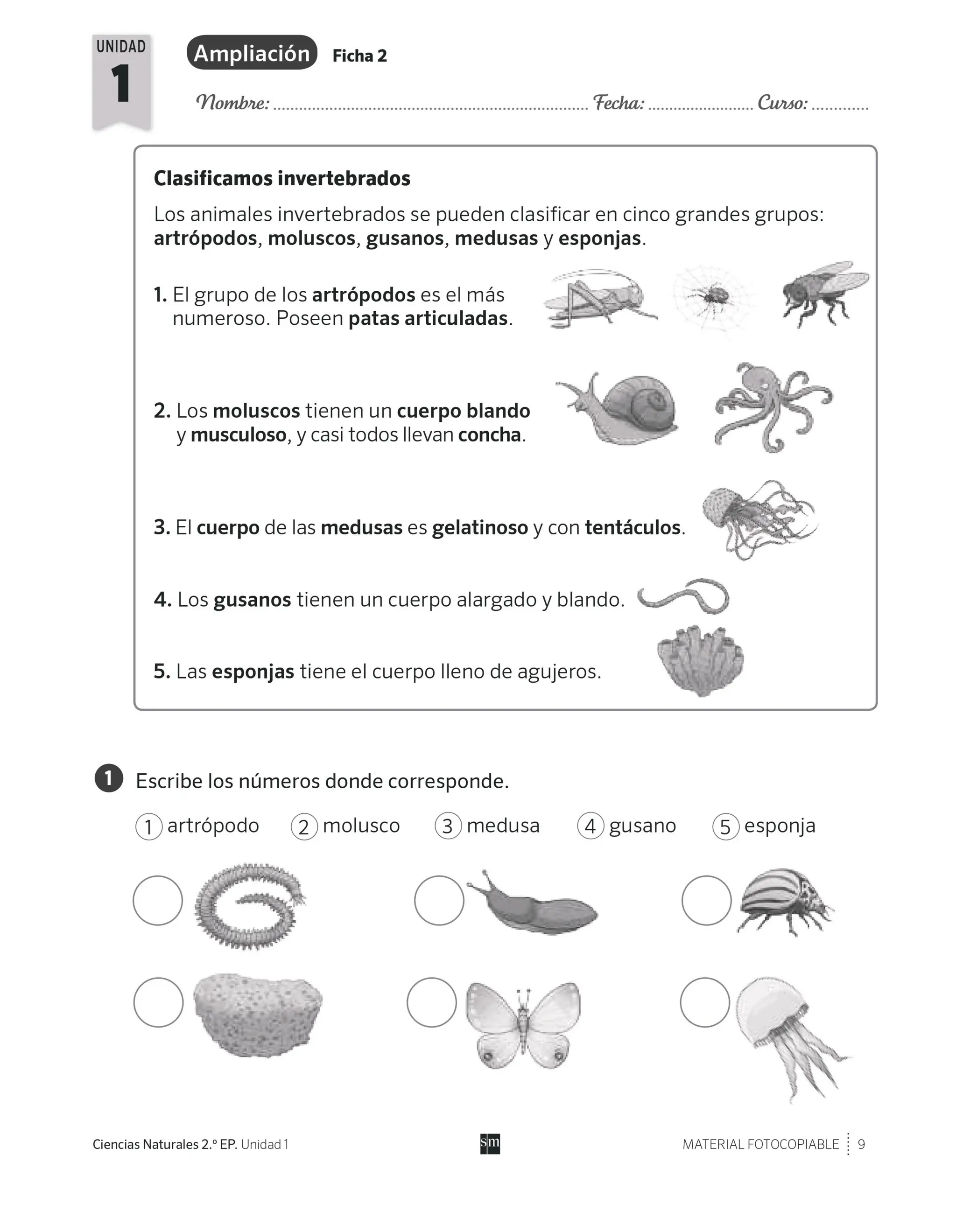 Repaso y refuerzo - Ciencias Naturales - 2º primaria - SM Mas Sabia ...
