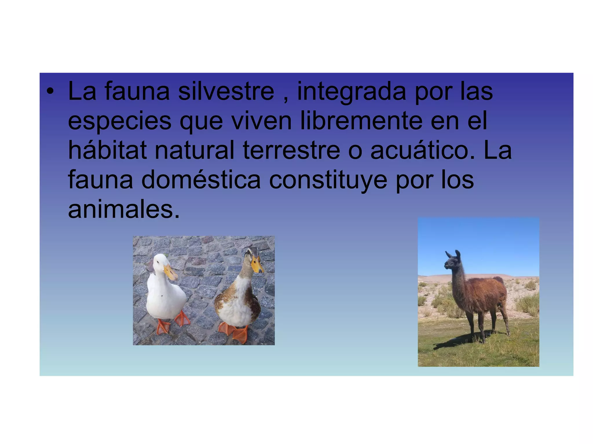 Flora y Fauna de la provincia de La Rioja | PPS