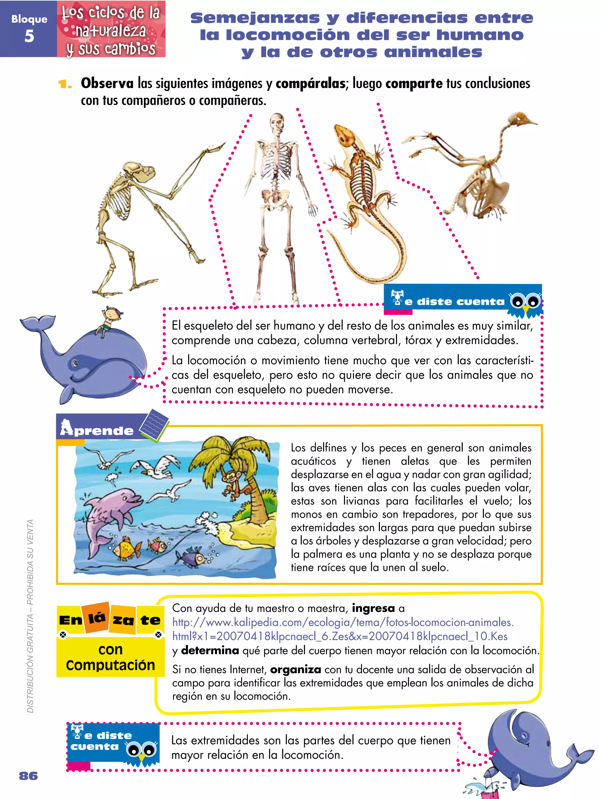 Naturales 5 3 | PDF