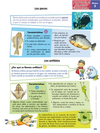 Naturales 5 3 | PDF