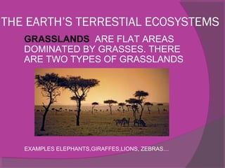 Naturales power ecosystems | PPT