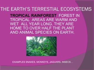 Naturales power ecosystems | PPT