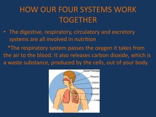 Naturales unit 2 | PPTX | Lung and Respiratory Health | Diseases and ...
