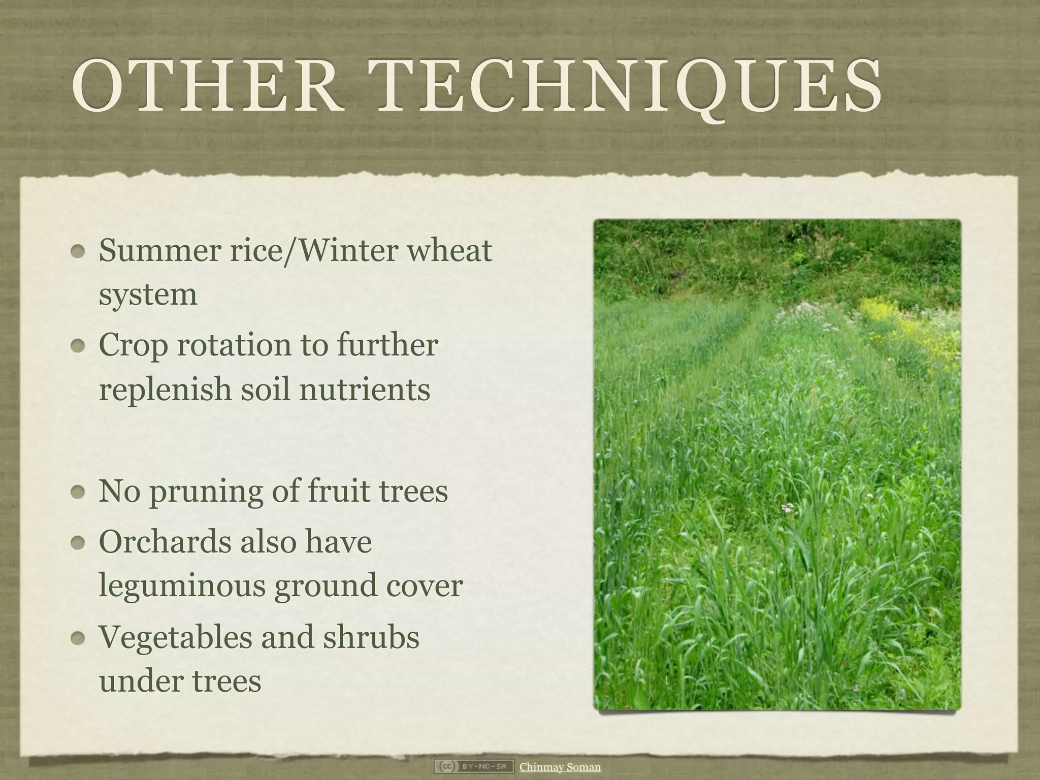 Natural Farming: An introduction to the principles of natural farming ...