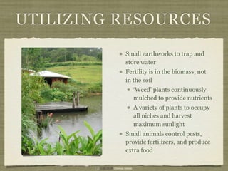 Natural Farming: An introduction to the principles of natural farming ...