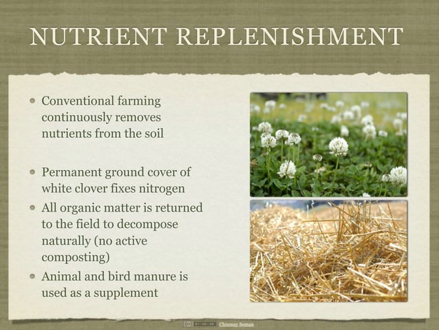 Natural Farming: An introduction to the principles of natural farming ...