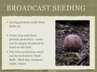 Natural Farming: An introduction to the principles of natural farming ...