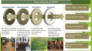 naturalfarmingdr-240528124201-7ebd8d09.pdf