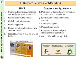 Zero Budget Natural farming in Horticultural crops: status, scope and ...
