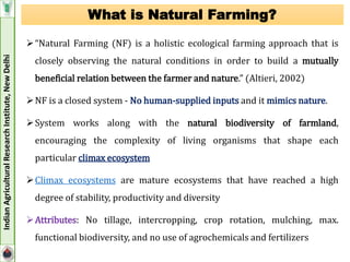 Zero Budget Natural farming in Horticultural crops: status, scope and ...