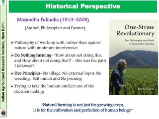 Zero Budget Natural farming in Horticultural crops: status, scope and ...