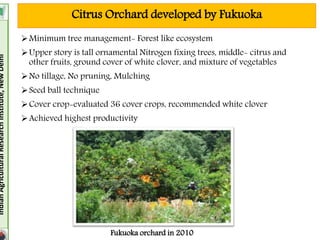 Zero Budget Natural farming in Horticultural crops: status, scope and ...