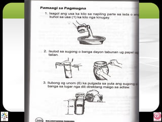 Natural Farming Technology System in Philippine settings | PPTX