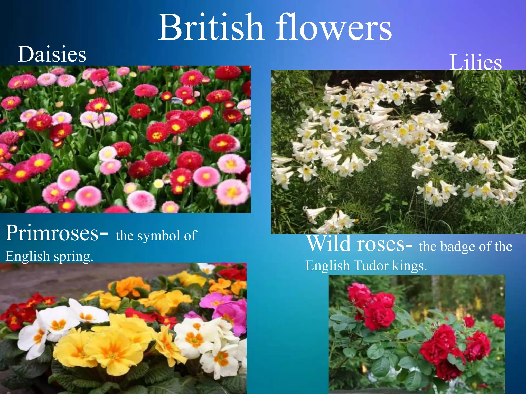 Natural features of british isles | PPTX