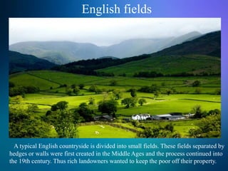 Natural features of british isles | PPT