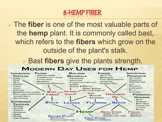 Natural fibers | PPTX