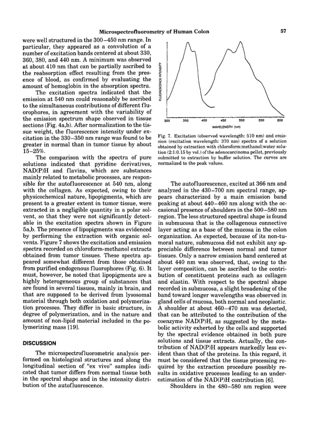 Natural fluorescence of normal and neoplastic human colon | PDF