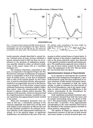 Natural fluorescence of normal and neoplastic human colon | PDF