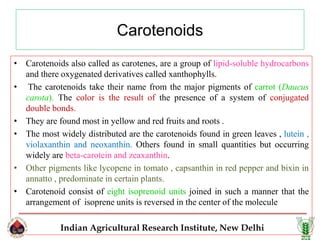 Natural Food Colourents PPT.pptx