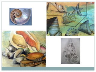 Natural forms | PPTX