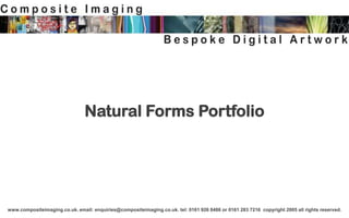 Natural Forms Artwork Gallery | PPT