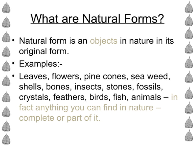 Natural forms spider diagram | PPT