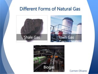 Natural Gas | PDF