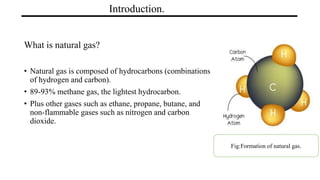 Natural Gas.pptx