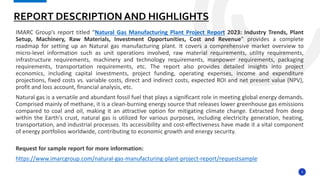 Project Report on Natural Gas Manufacturing Plant | PPTX