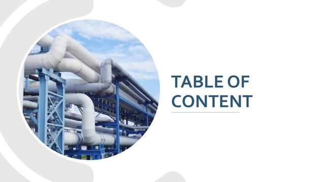 Project Report on Natural Gas Manufacturing Plant | PPTX