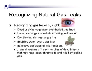 Natural Gas Safety_ a brief study for engineers | PPTX