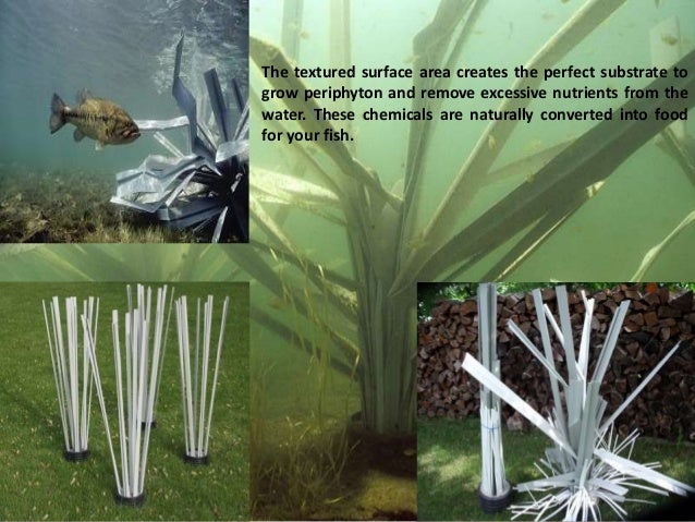 Natural habitat with vinyl fish attractor